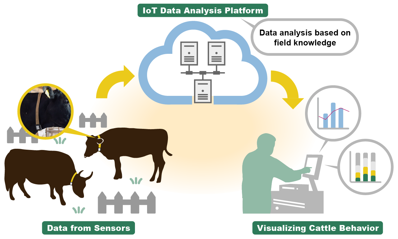 NTT TechnoCross - U-Motion®