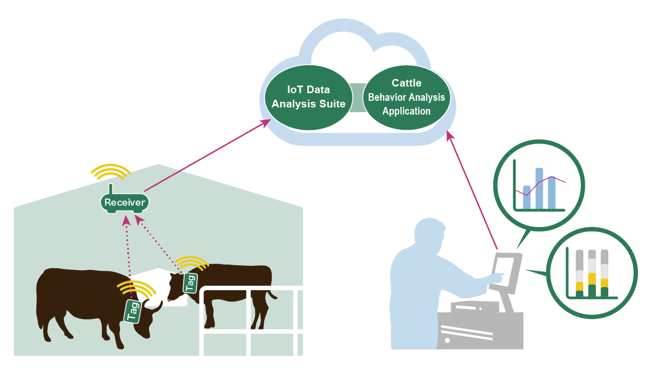 Ntt Technocross U Motion
